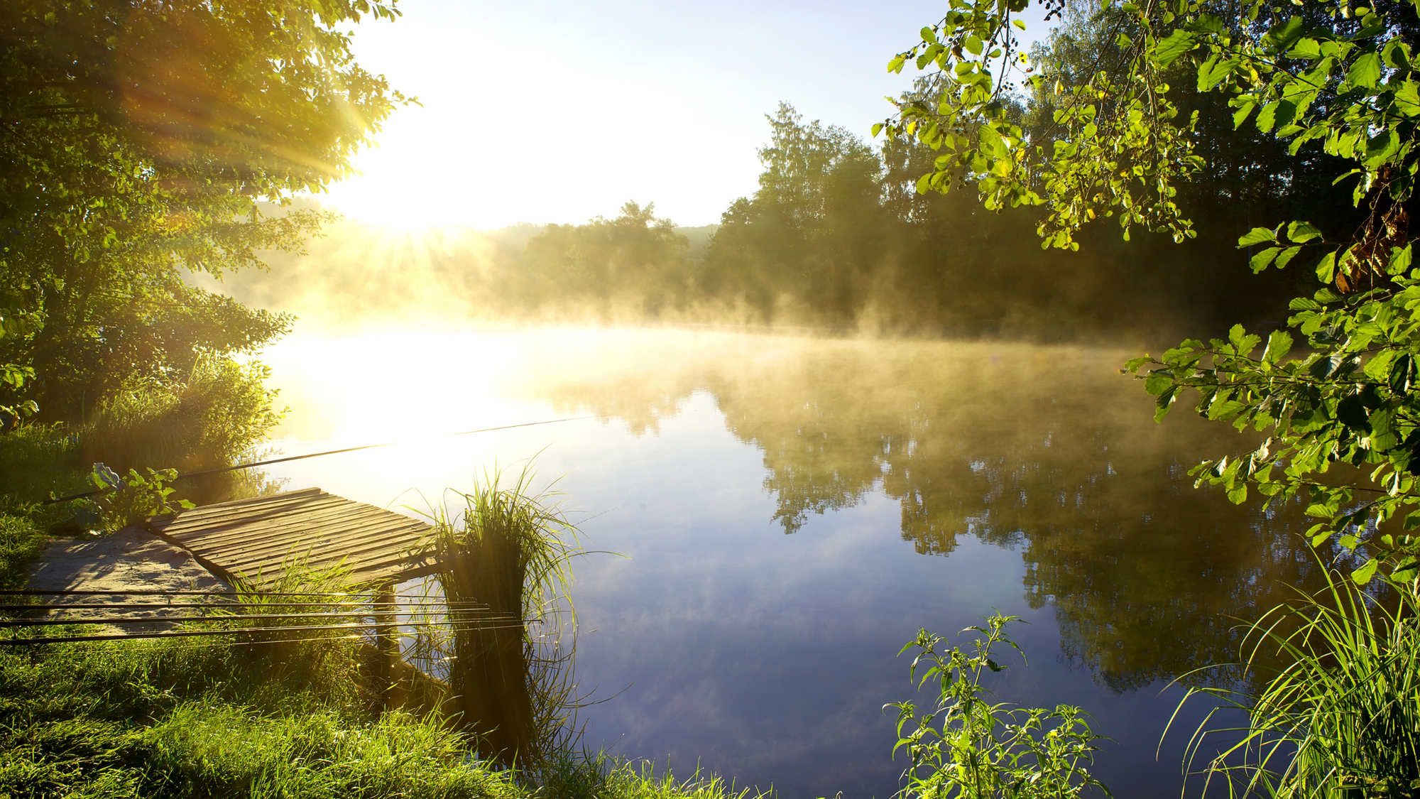 What are the best Coarse Fishing Rods – Wildhunter.ie