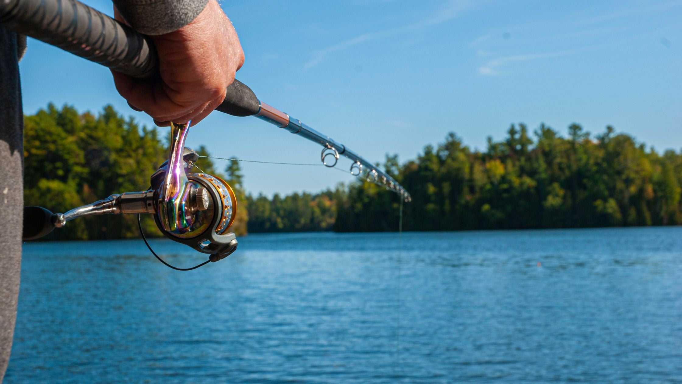 The Ultimate Guide to Fishing Rods: Types and Uses | Wildhunter.ie