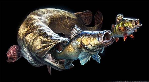 Savage Gear Fishing Tackle: Exploring it's Excellence | Wildhunter.ie