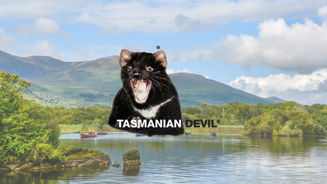 Tasmanian Devil Fishing Lures: A Game Changer for Anglers | Wildhunter.ie
