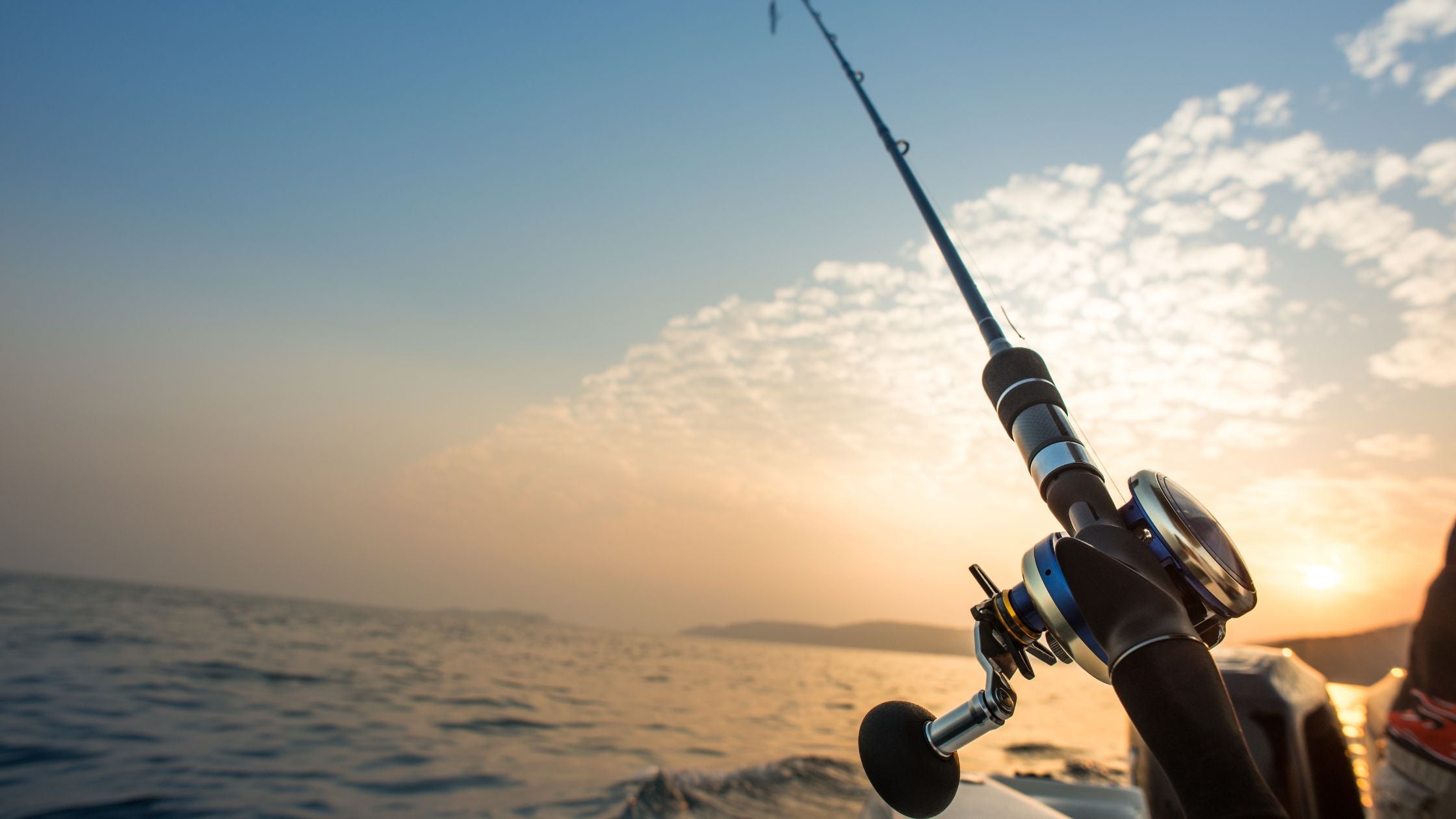 Trolling Fishing Tackle: What you should Know for a Successful Trip ...